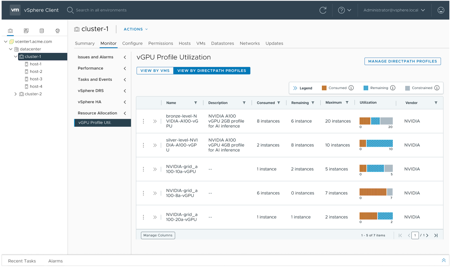 Viewing Usage Capacity for Virtual GPUs in VMware Cloud Foundation 9.0 ...