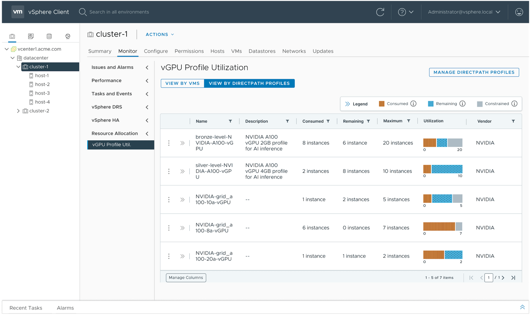 Viewing Usage Capacity for Virtual GPUs in VMware Cloud Foundation 9.0 ...
