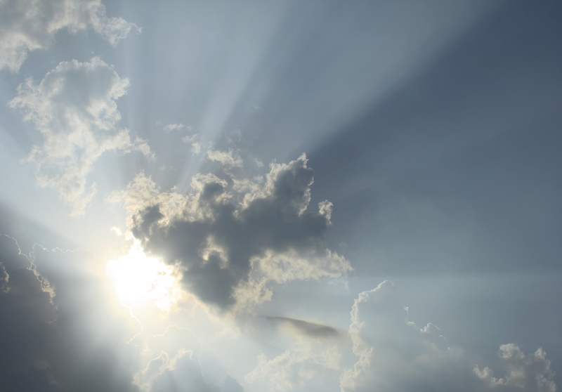 Virtualized High Performance Computing (HPC) Reference Architecture ...