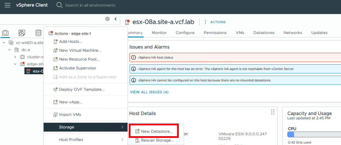 VCF Edge 9.0: Single Host Edge Site Deployment - VMware Cloud ...