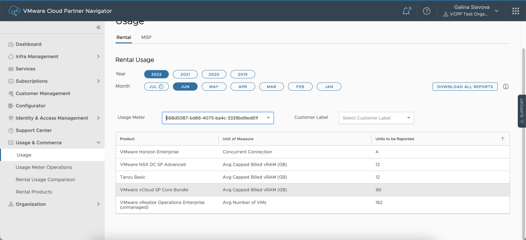 VMware Cloud Director Metering and Reporting: Explained