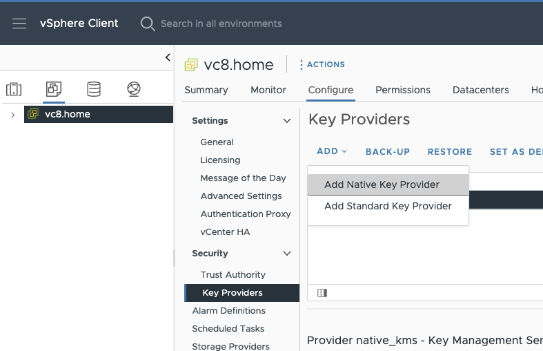 Automate vSphere Native Key Providers - VMware {code}