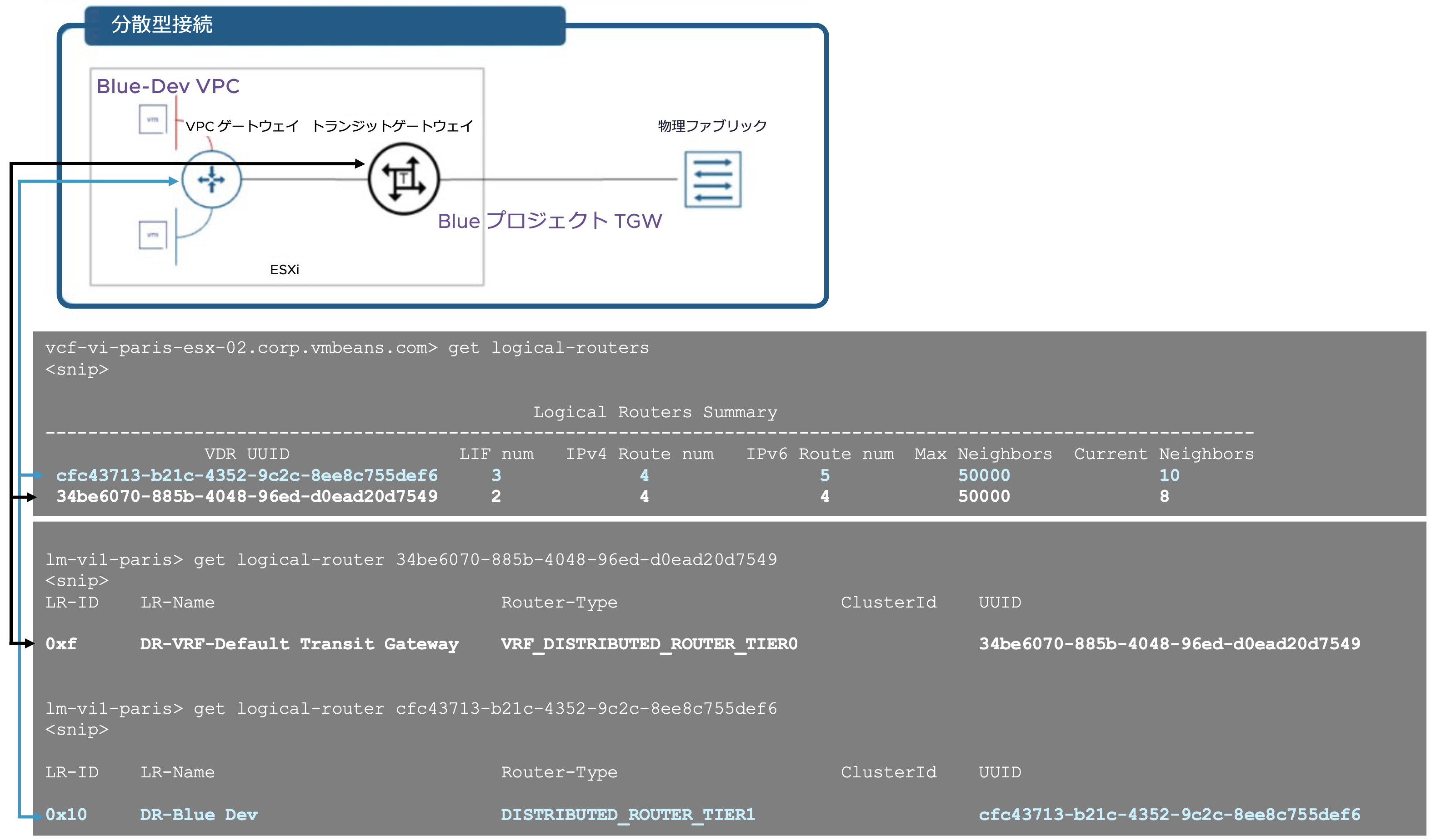 VMware Cloud Foundation® 9.0 における VPC とTransit Gateway とは - VMware ...