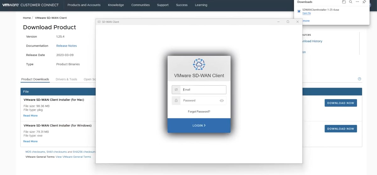 SD-WAN Client Windows