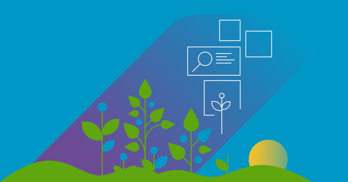 2024 BellSoft Java Survey: Key Insights on Spring Innovations - Tanzu