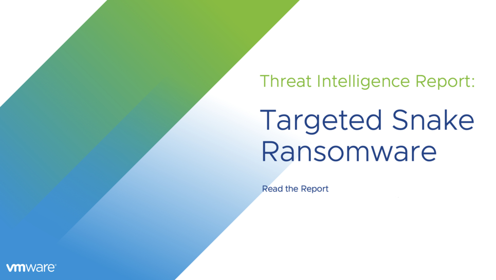 Threat Intelligence Report: Targeted Snake Ransomware
